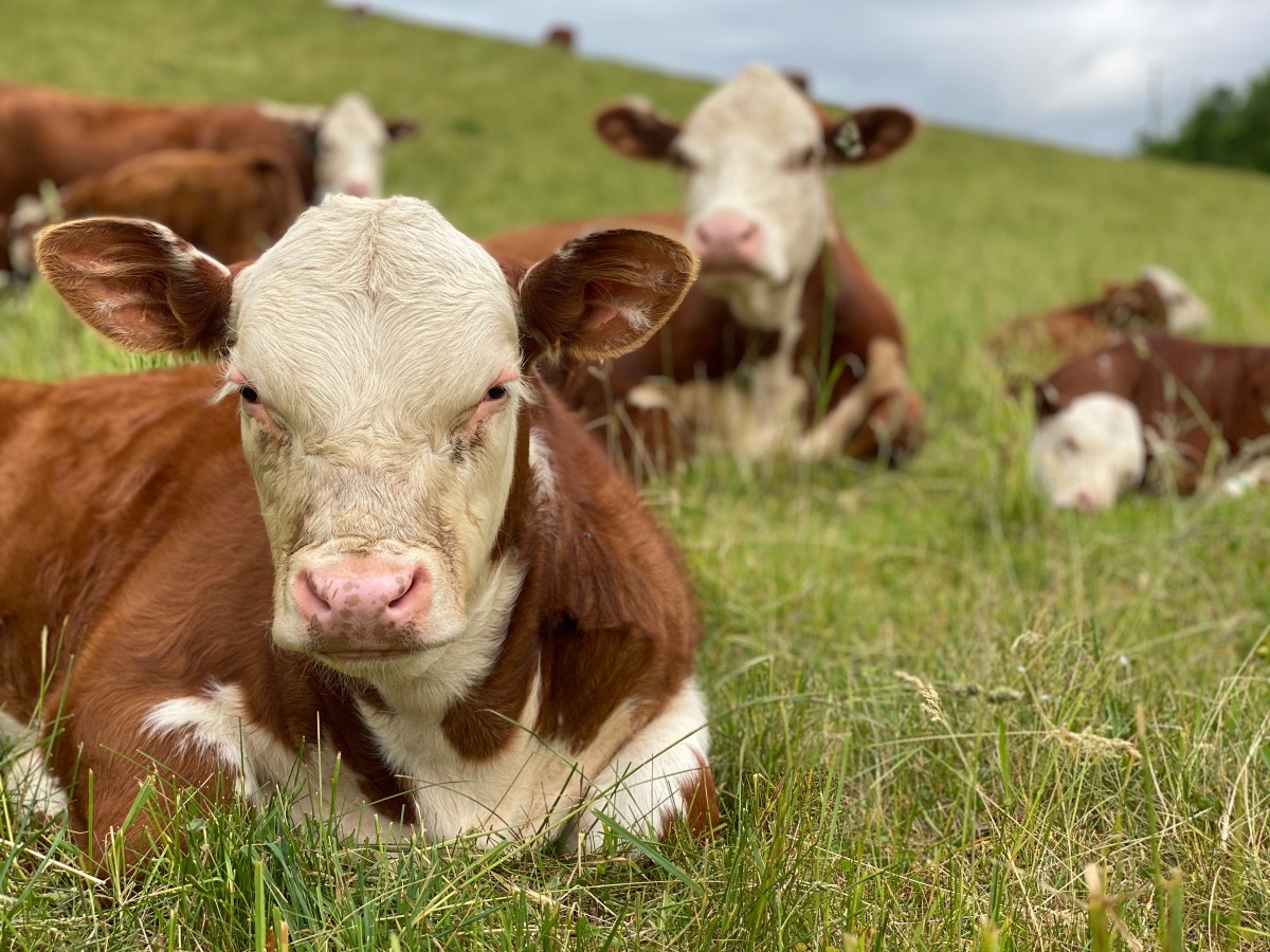 Tuning Out the World | accidental country pastor